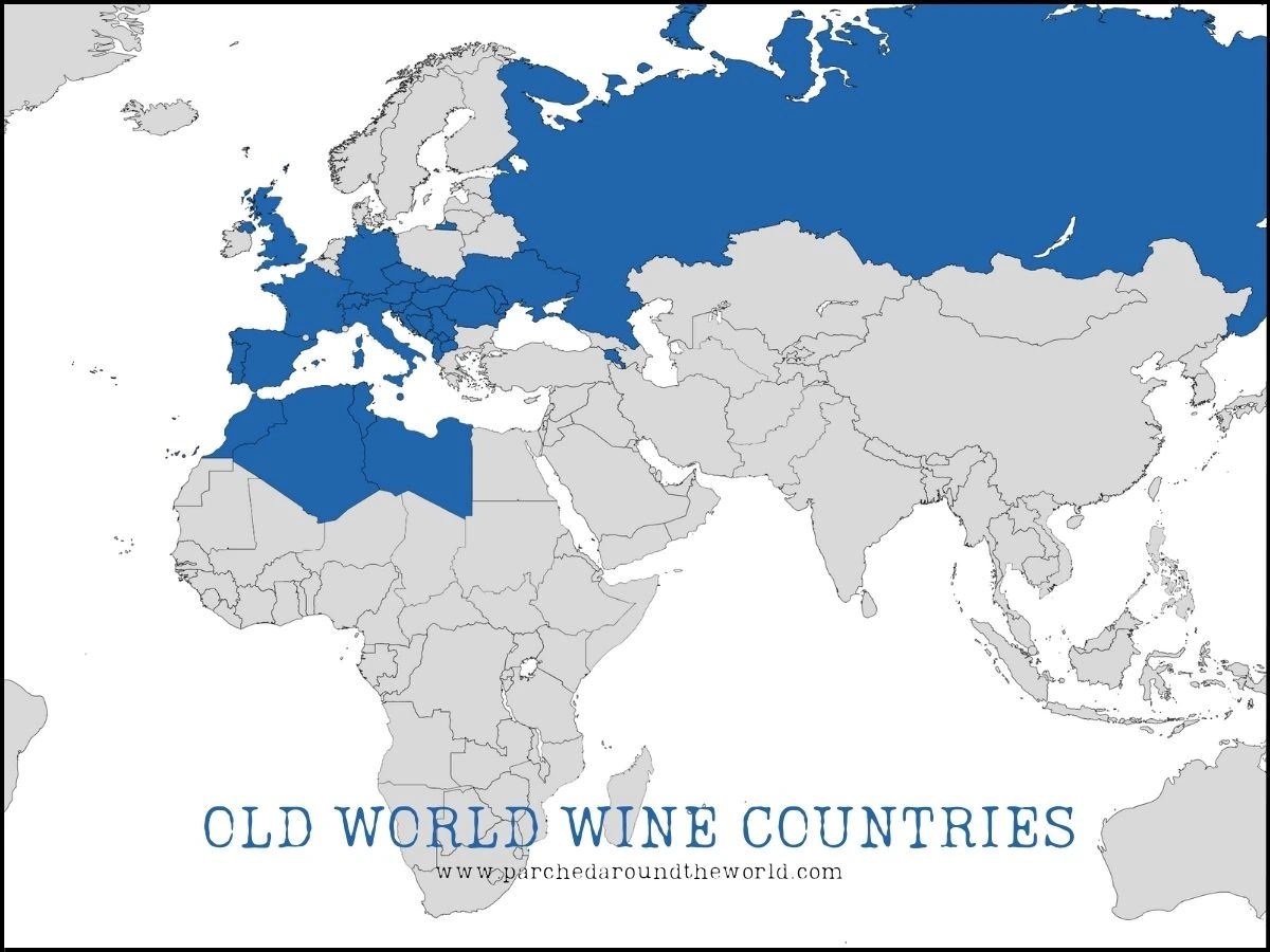 Old World vs New World Wine: What’s the Difference?